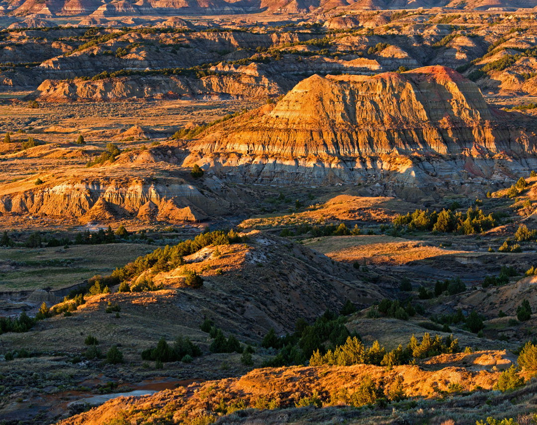 Cheap Flights from Moline to Fargo