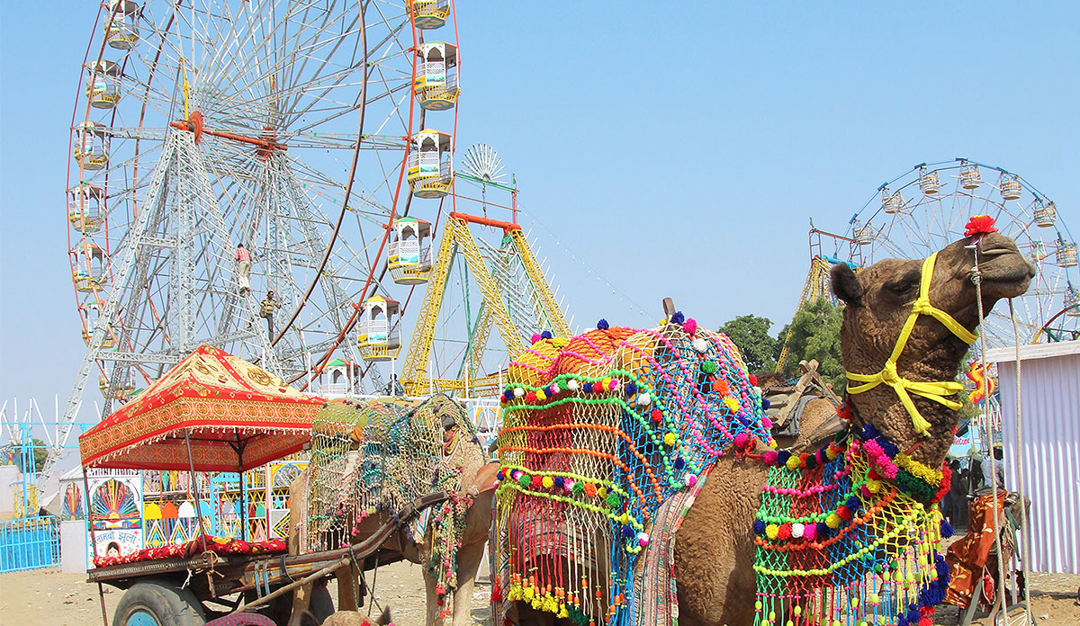 Flights to Pushkar Camel Fair, India | FareCompare