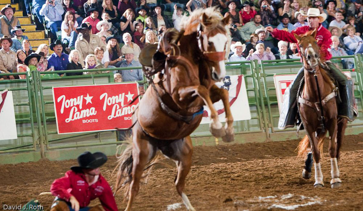 Flights to Red Steagall Cowboy Gathering | Fort Worth | FareCompare